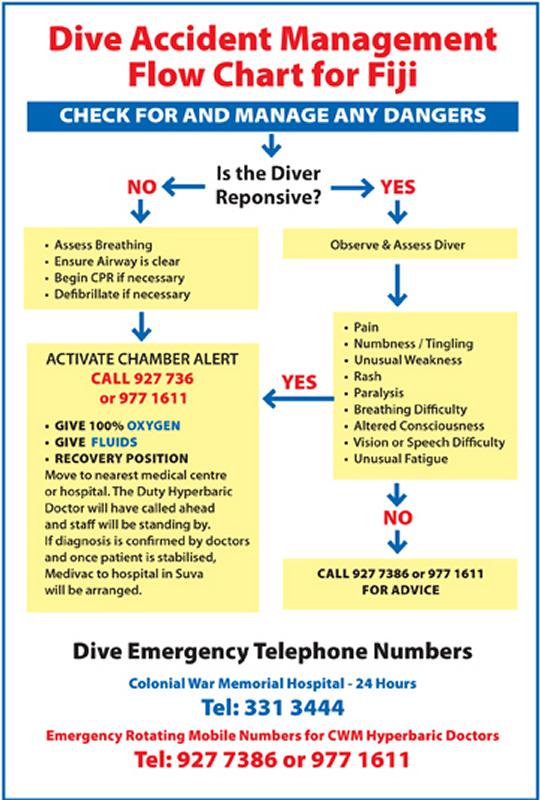 Scuba diving in Fiji – FIJI Shores and Marinas