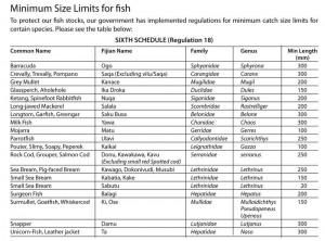 Fishing Regulations Fiji – FIJI Shores and Marinas