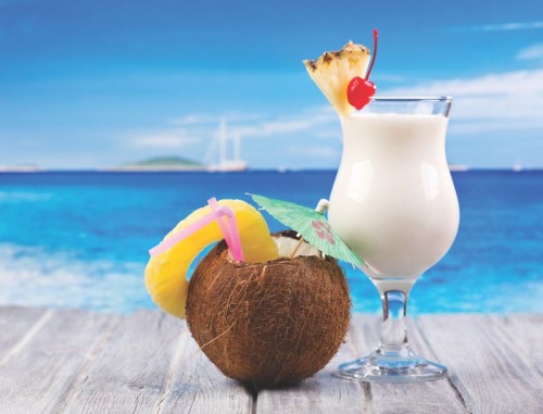 Go Nuts with a Coconut or Two – FIJI Shores and Marinas