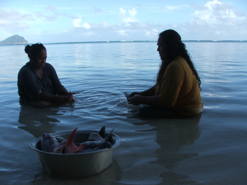 Noa’ia ‘e mauri Rotuma – FIJI Shores and Marinas