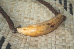 Sevusevu 101 by Manoa Rasigatale – FIJI Shores and Marinas